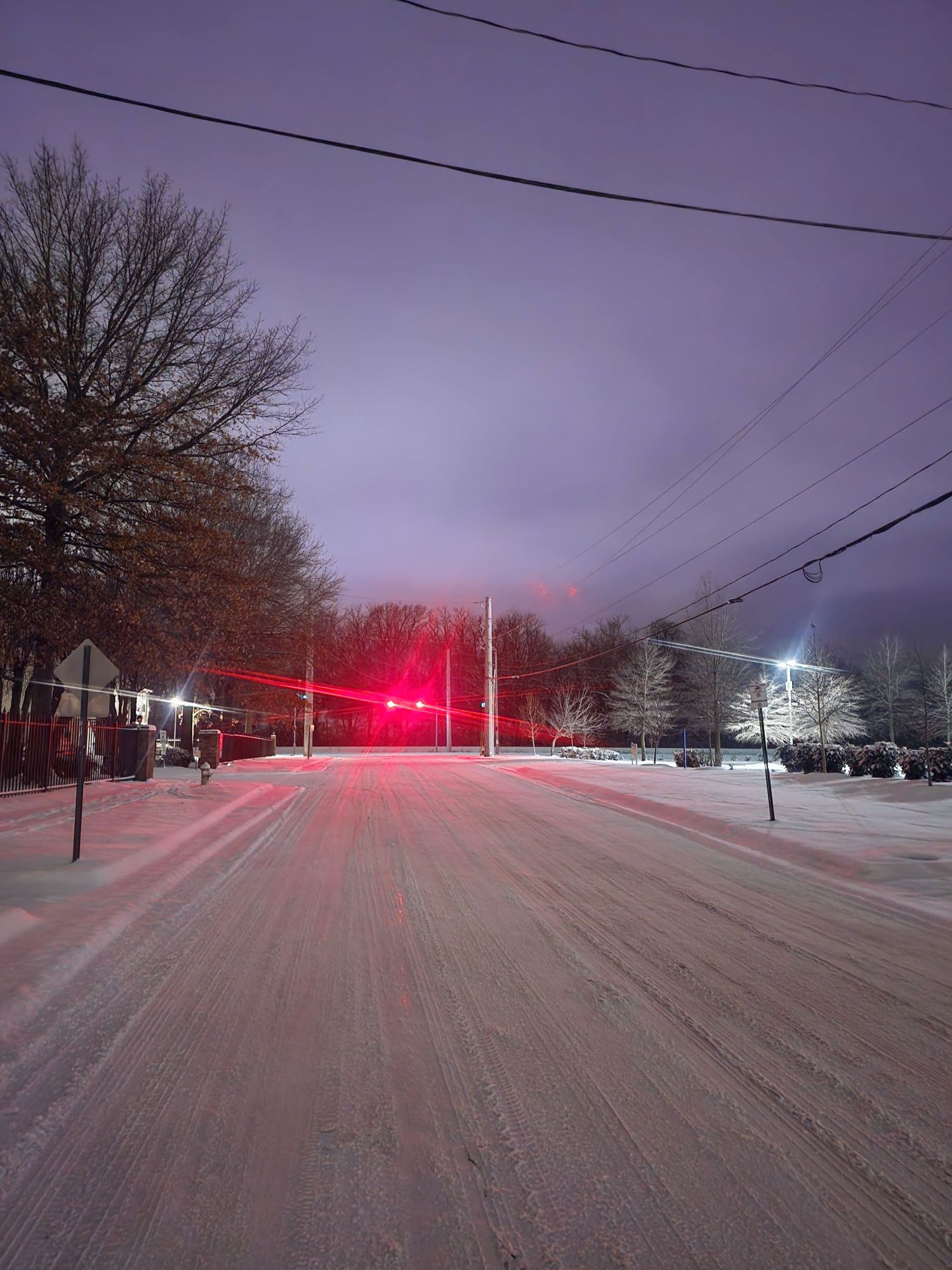 Cold Loneliness | P.S. Parenthetically Speaking