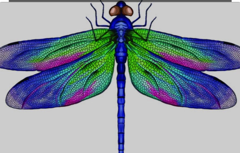 2 a.m. | P.S. Parenthetically Speaking